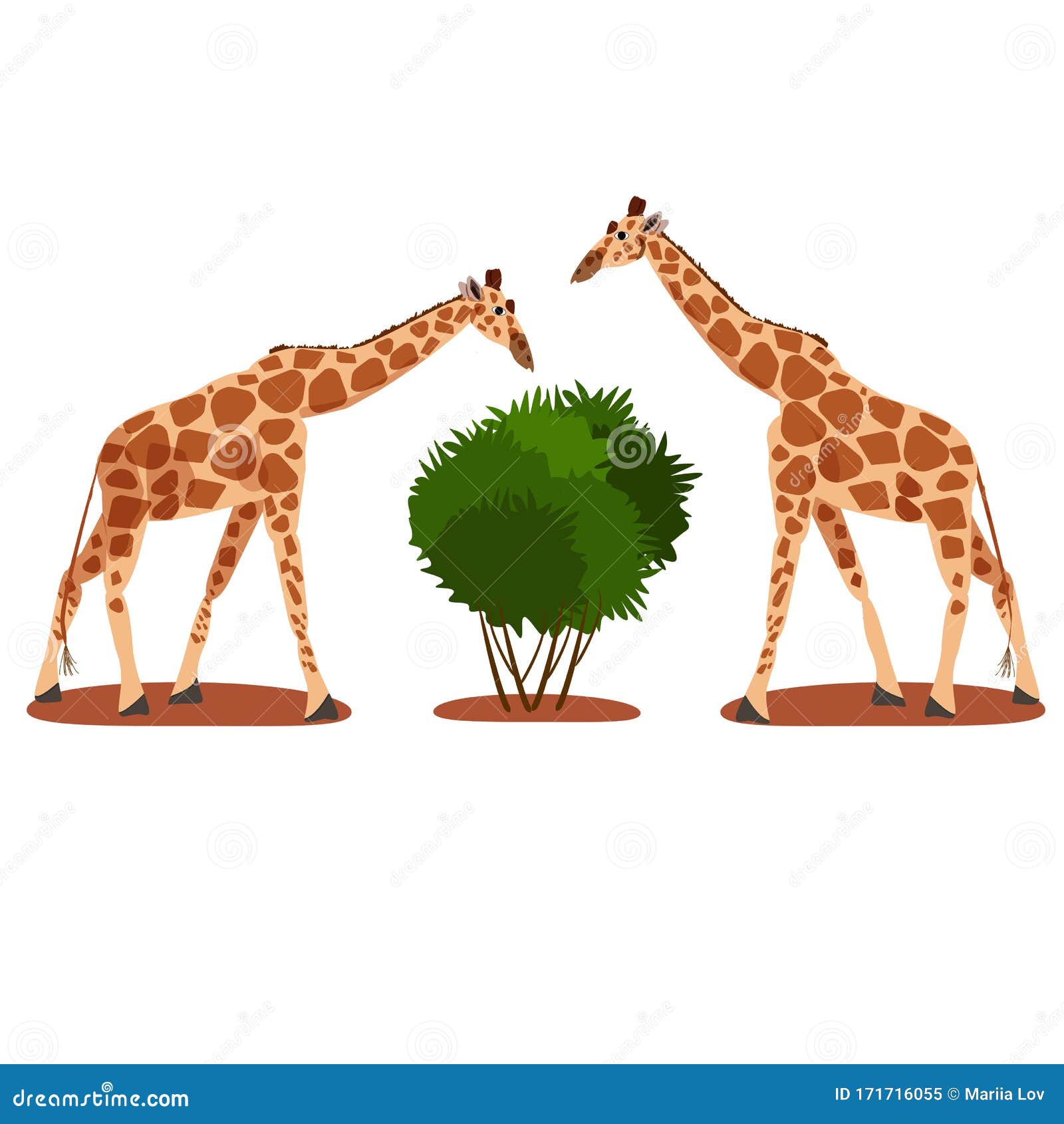 Two Giraffes Eat Plant Leaves. Stock Vector - Illustration of print ...
