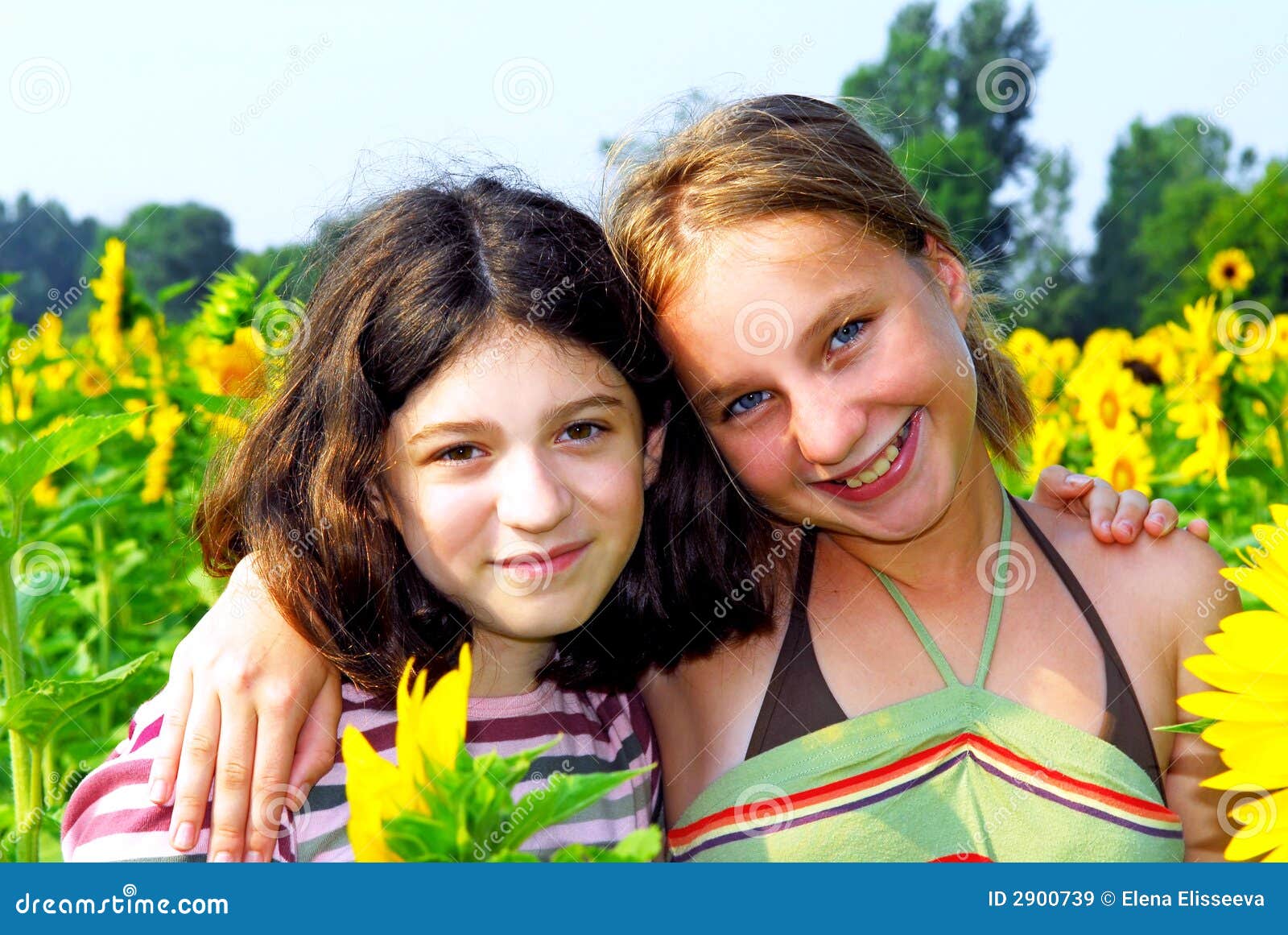 Two girls stock image. Image of sunflower, girl, preteen - 2900739