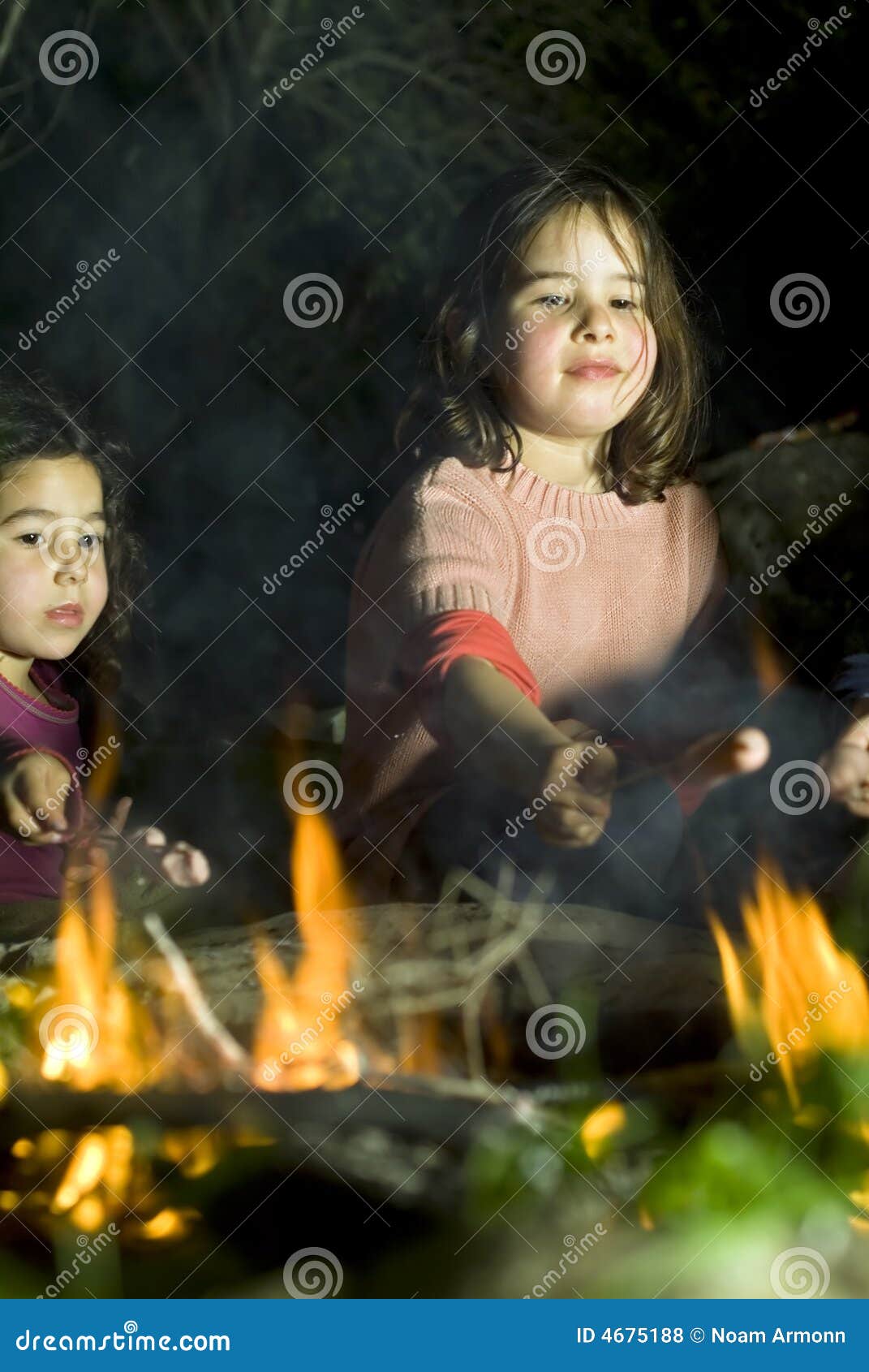 Two girls at a bonfire stock photo. Image of family, bonfire - 4675188