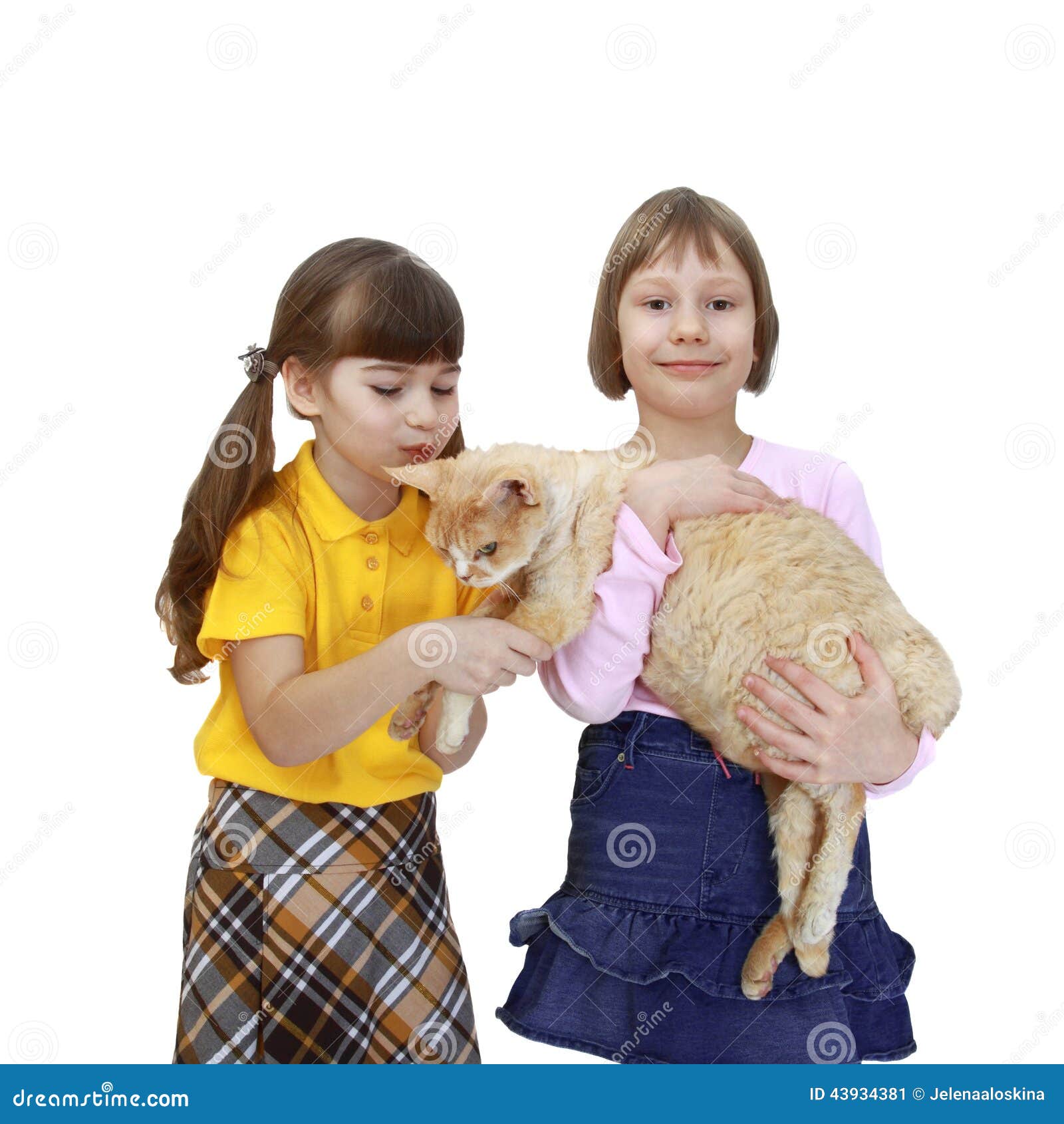 Two girls with cat stock image. Image of little, cheerful - 43934381