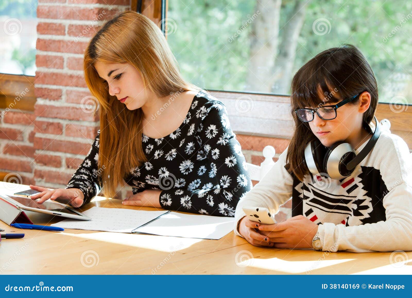 Two Girls Concentrating with Schoolwork. Stock Image - Image of ...