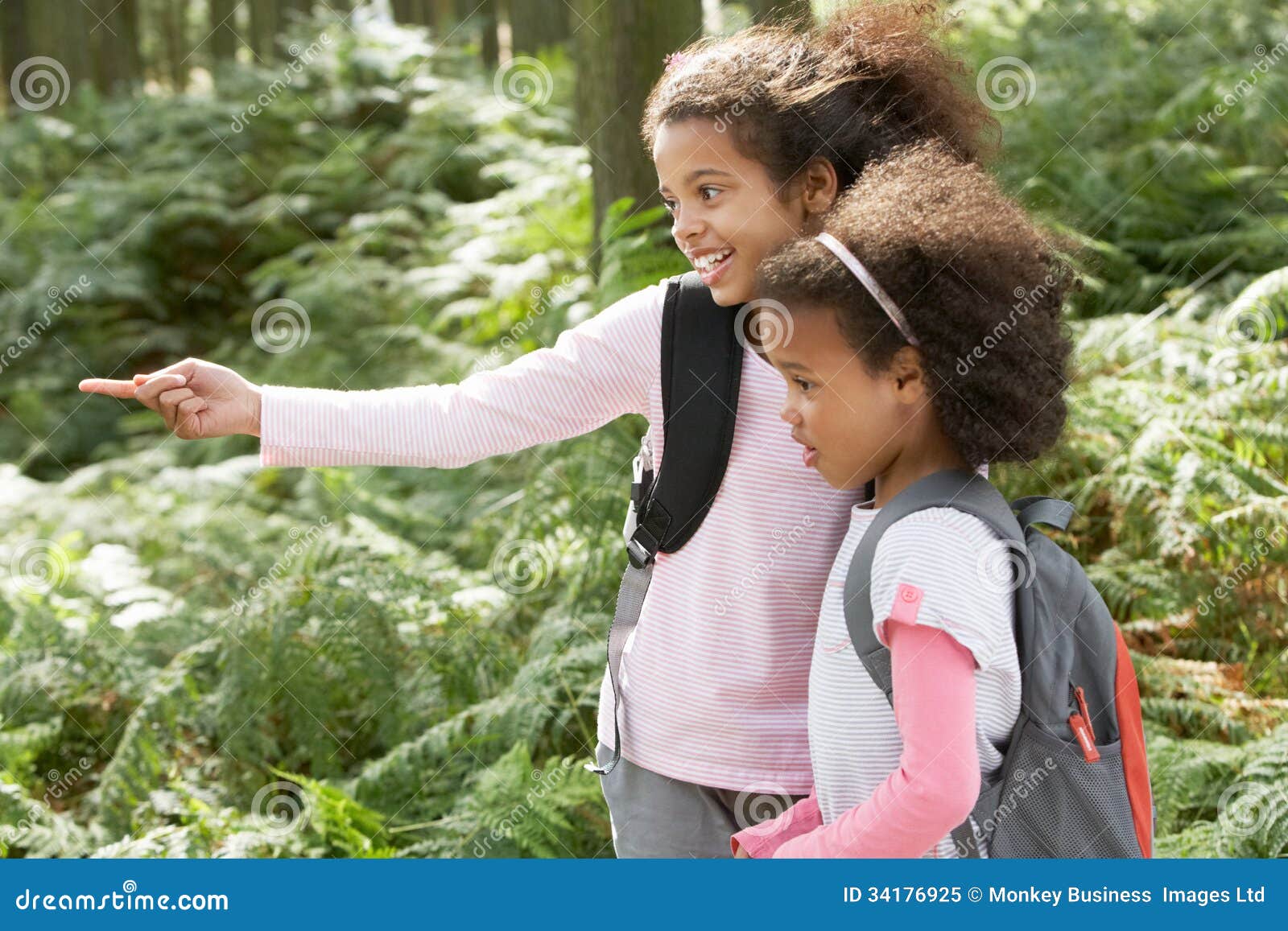 Two Girls Exploring Woods Together Stock Image - Image of child ...