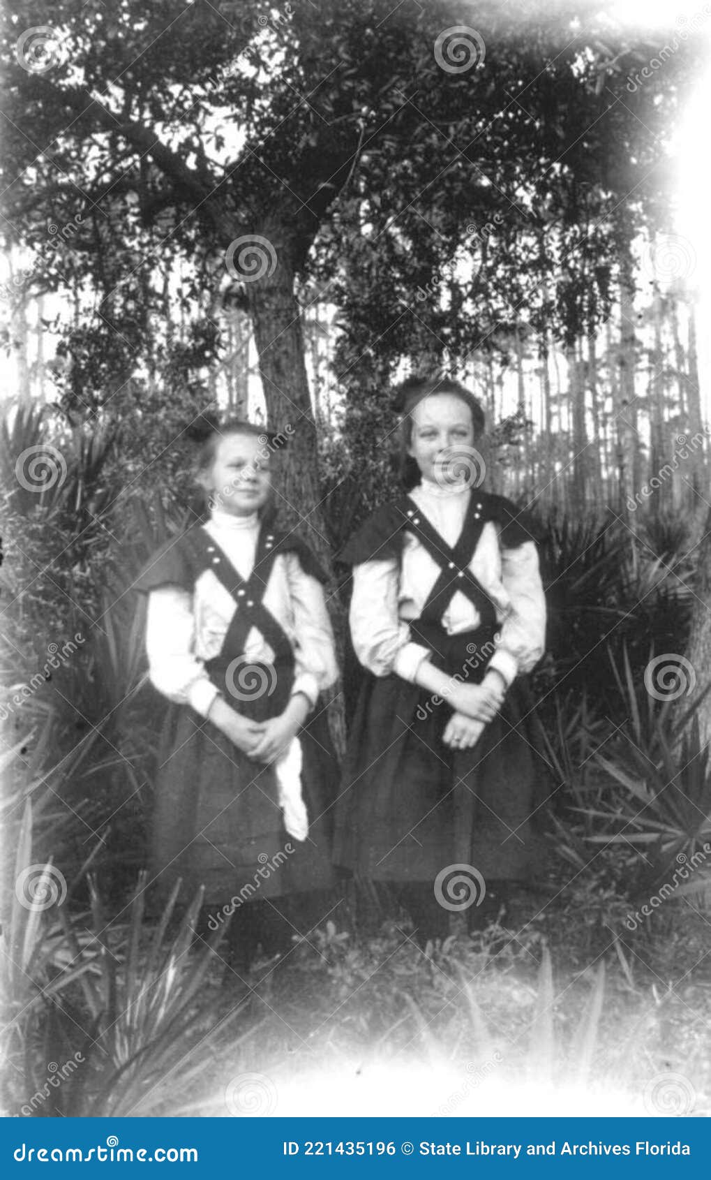 Two Girls In A Thicket Picture. Image: 221435196