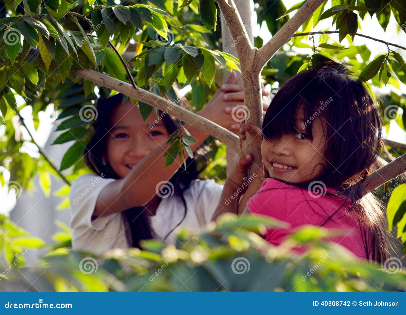 Two girls in a tree editorial photography. Image of girls - 40308742