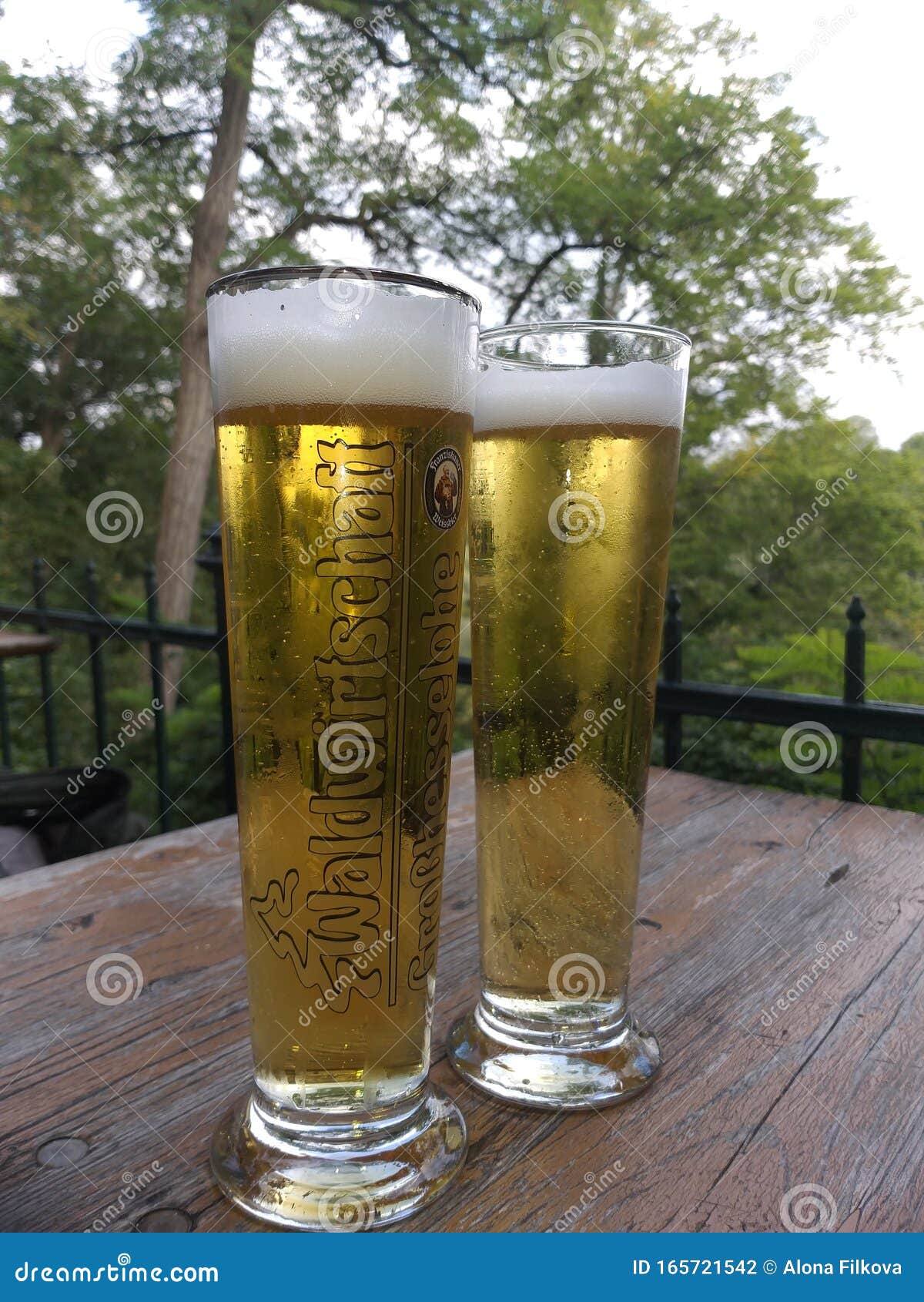 Two Glasses of Light Beer in Beergarten Editorial Photography - Image ...