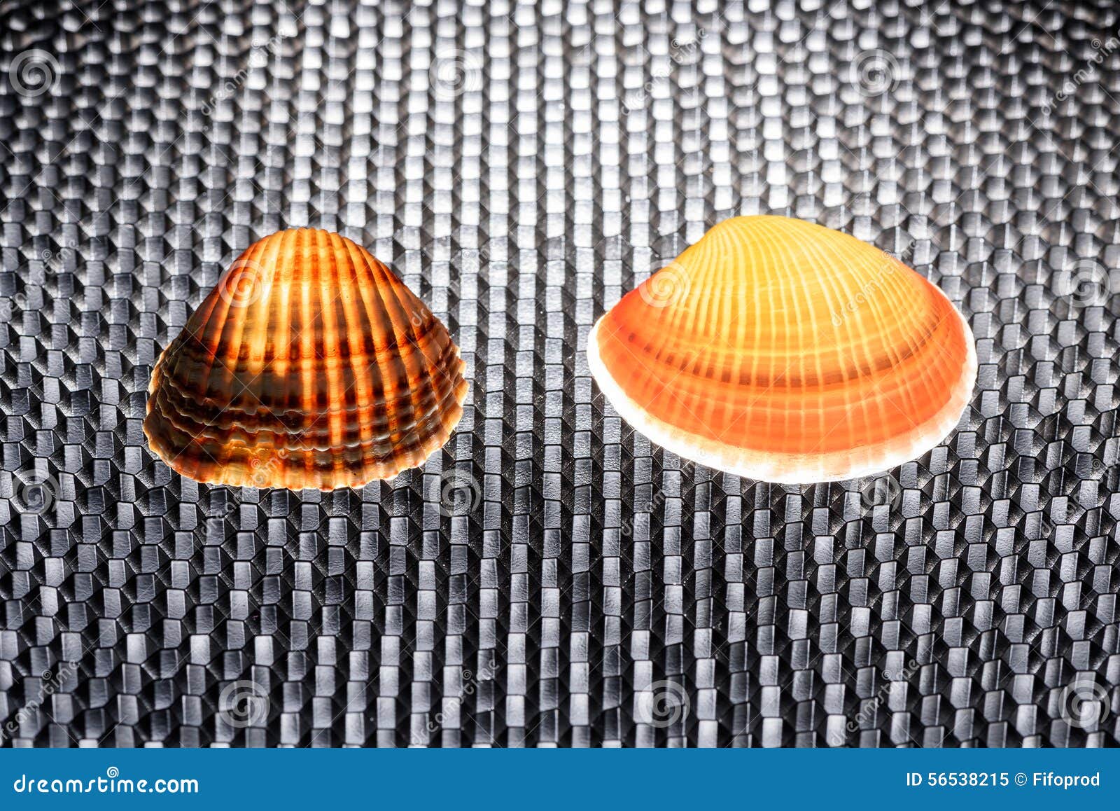Two Glowing Shells on a Black Structured Background with Honeycomb ...