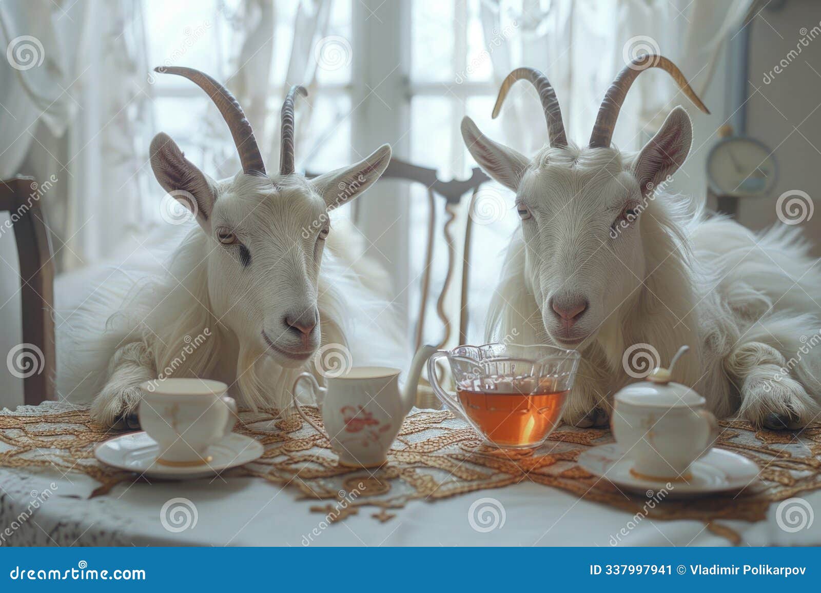 Two Goats Sit at a Table Enjoying Cups of Tea Stock Image - Image of ...