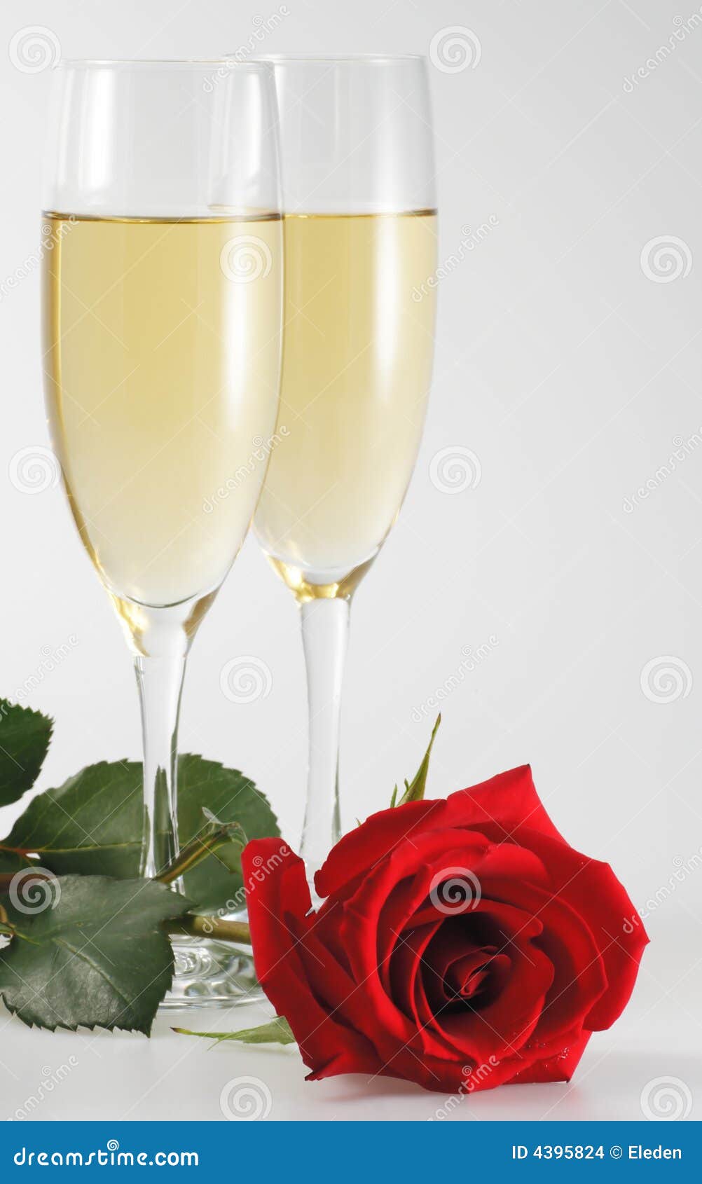Two Goblets of Shampagne and Red Rose Stock Photo - Image of celebrate ...