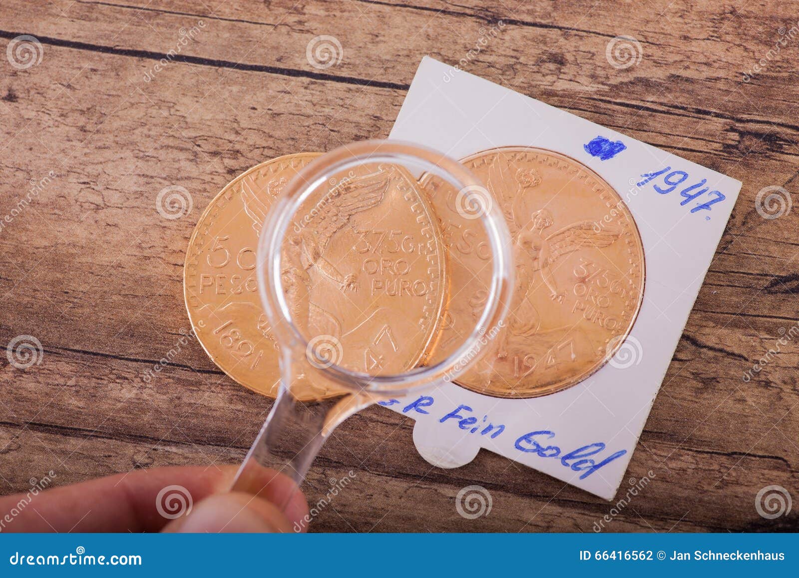 Two gold coins stock photo. Image of market, closeup - 66416562
