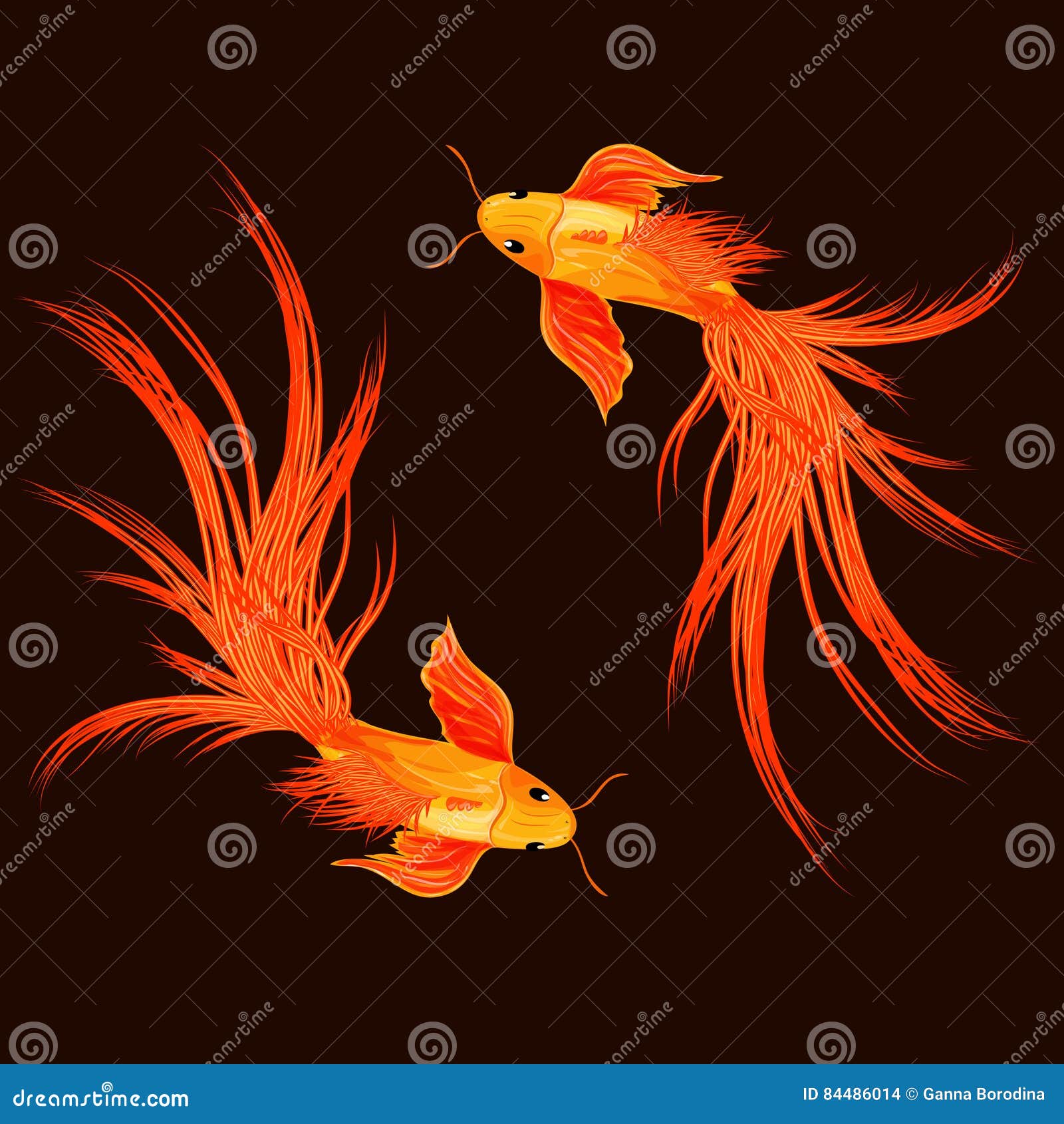 Of two gold koi fish stock illustration. Illustration of drawing - 84486014