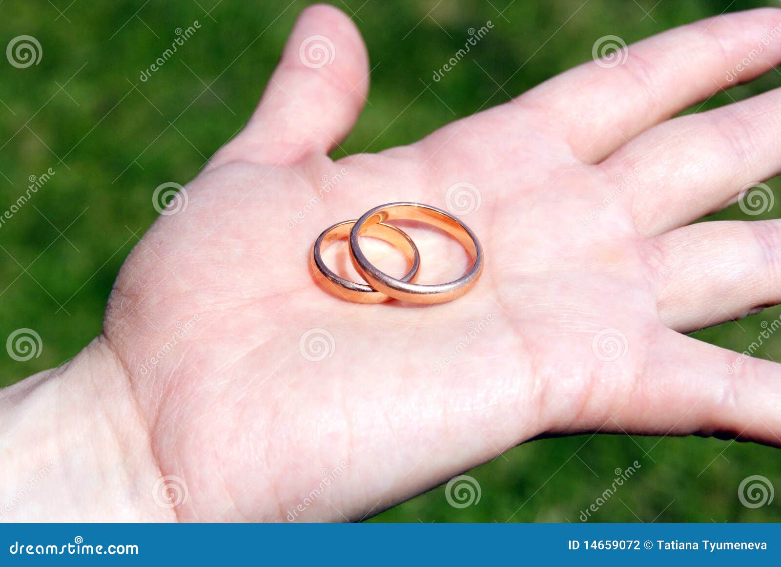 Two gold rings stock photo. Image of bands, commit, married - 14659072