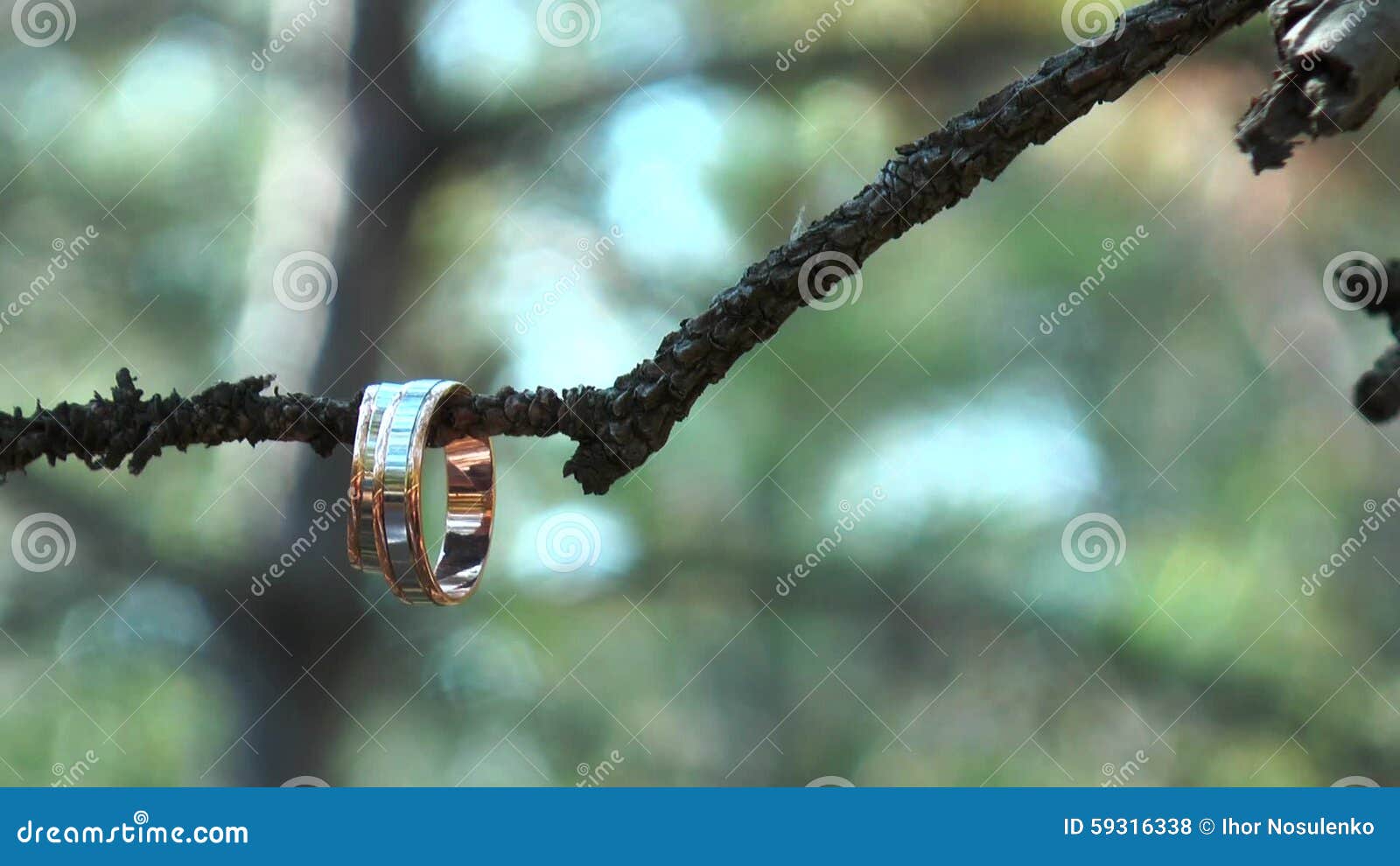 Two Gold Rings Hanging on a Branch Stock Footage - Video of gold ...