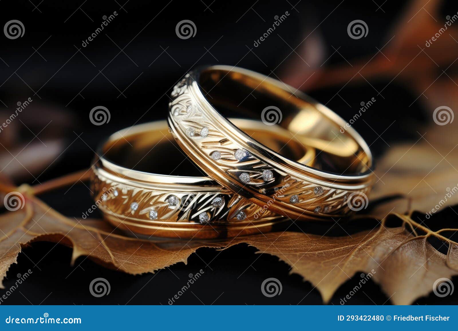 Two Gold Wedding Rings Sitting on Top of a Leaf Stock Illustration ...