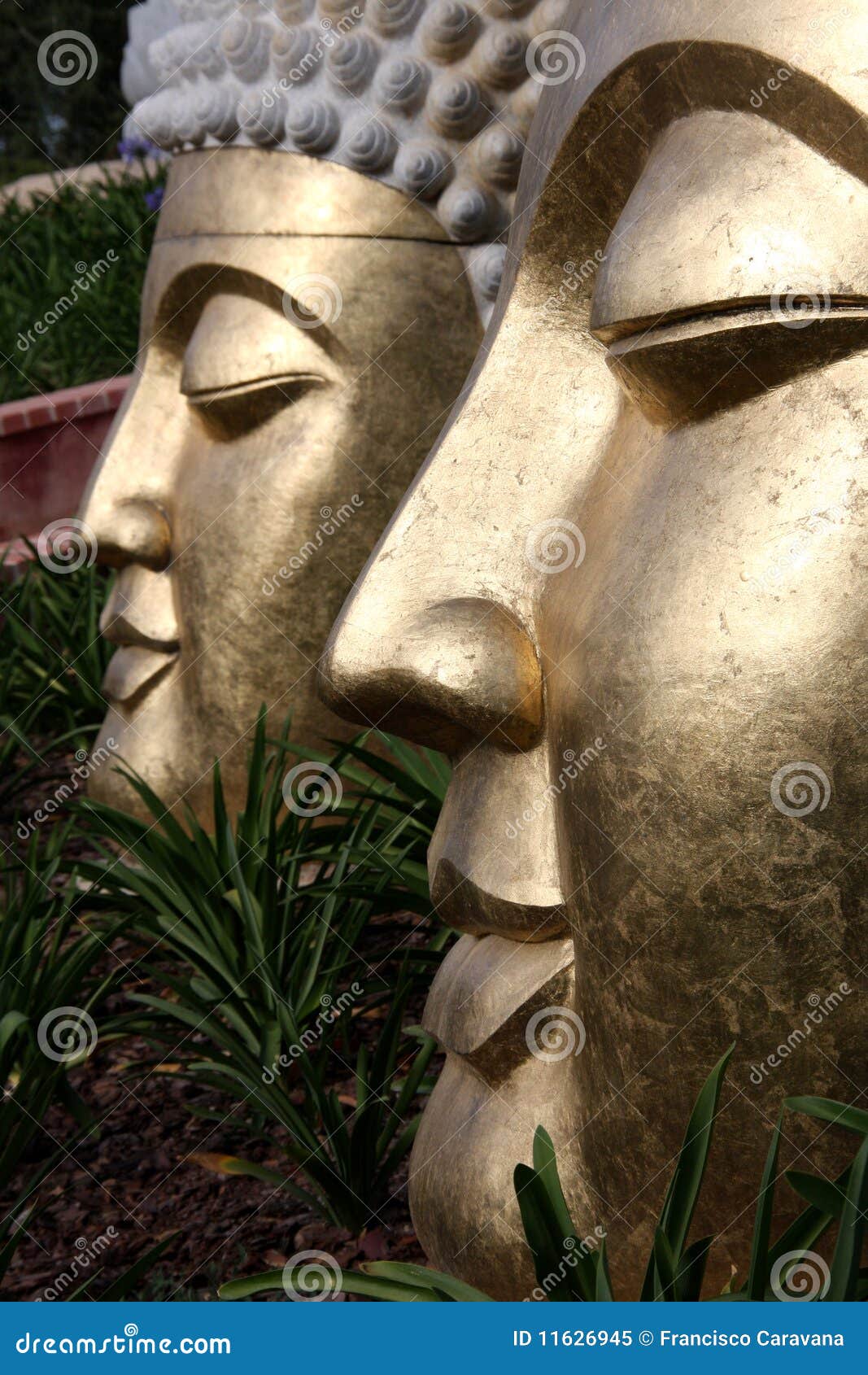 Two golden Buddhas faces stock image. Image of glowing - 11626945