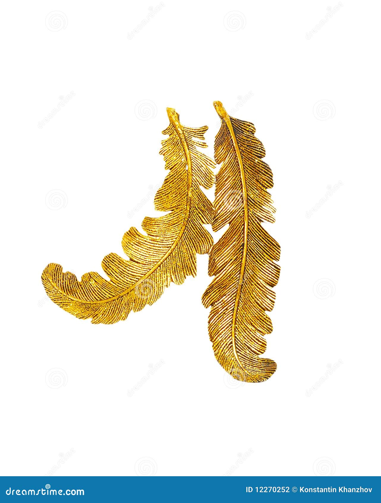 Two Golden Feathers Isolated Stock Photo - Image of life, freedom: 12270252