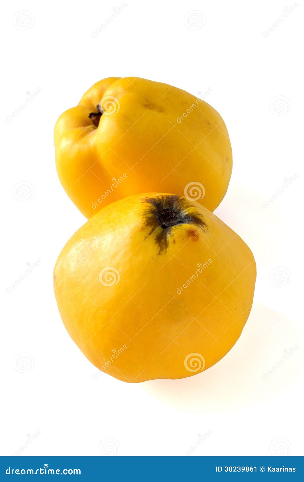 Two quinces stock image. Image of white, golden, objects - 30239861