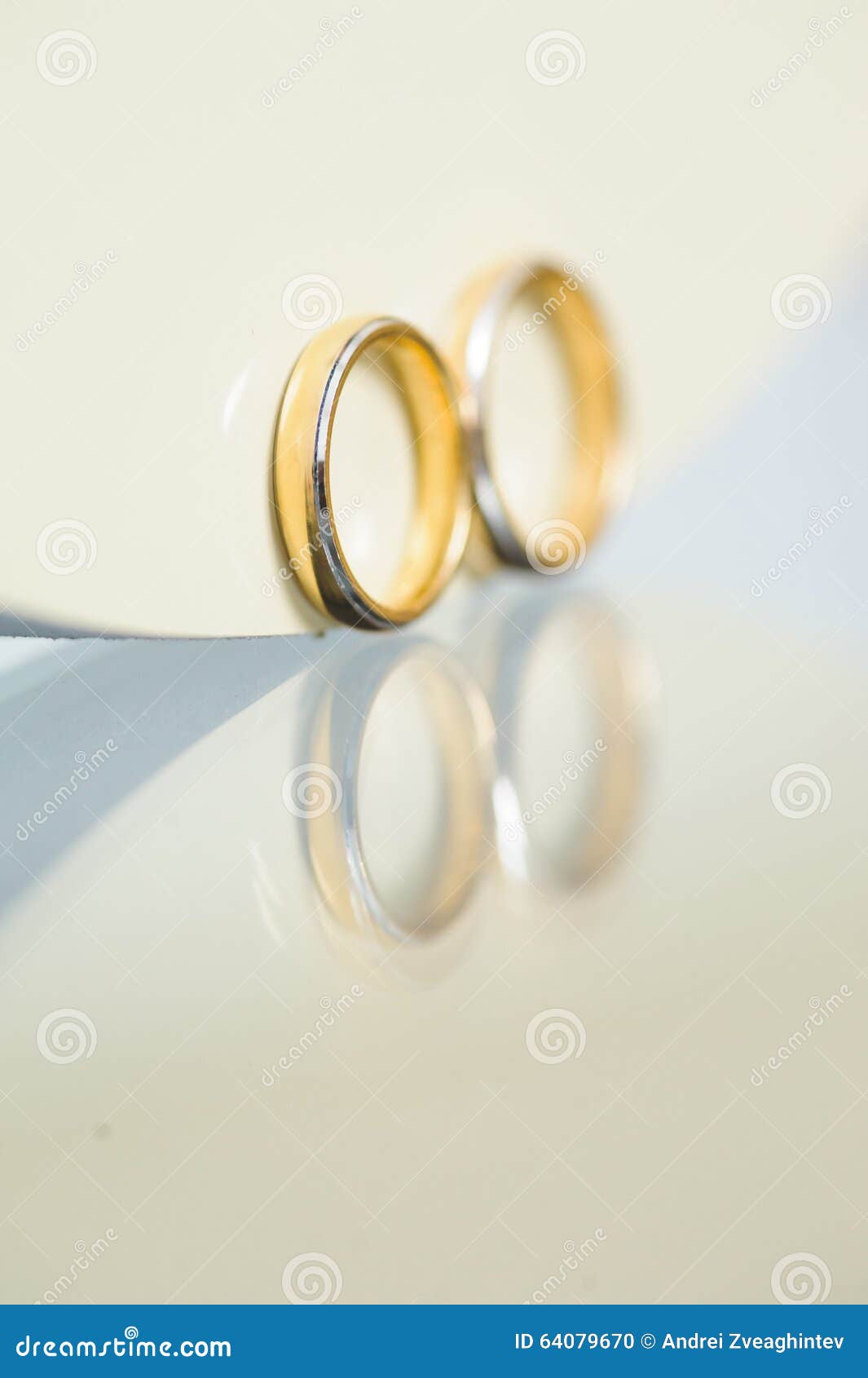 Two Golden Rings stock photo. Image of newlywed, married - 64079670
