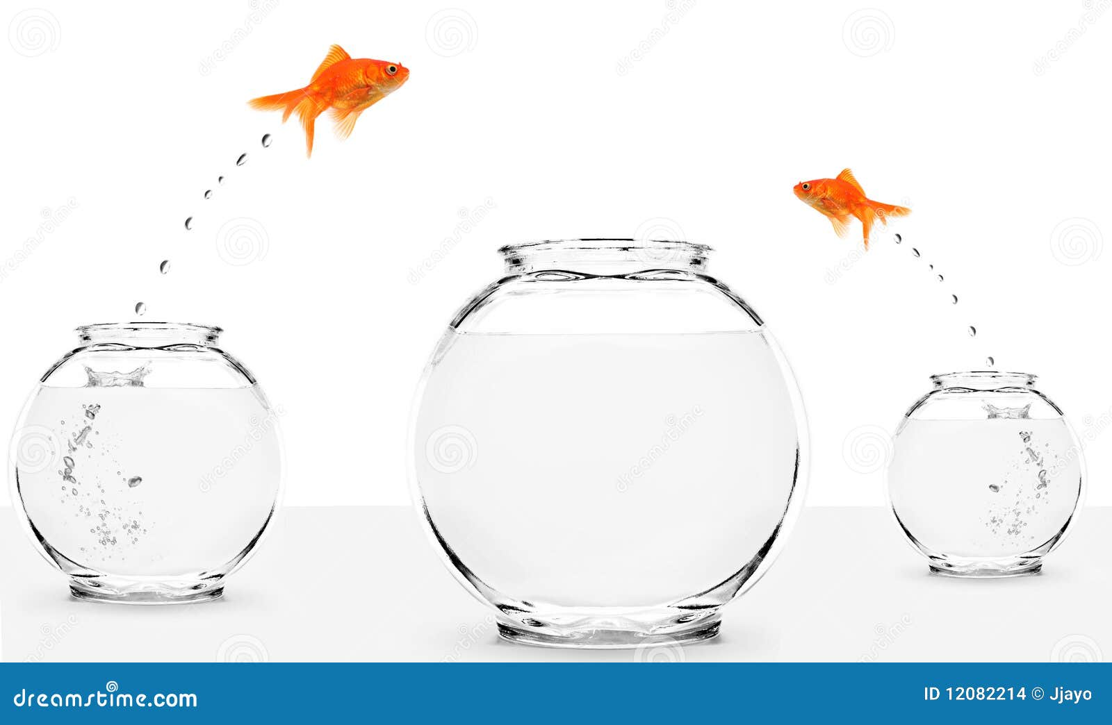 Two Goldfish Jumping To Bigger Fishbowl Stock Photo - Image of concept ...