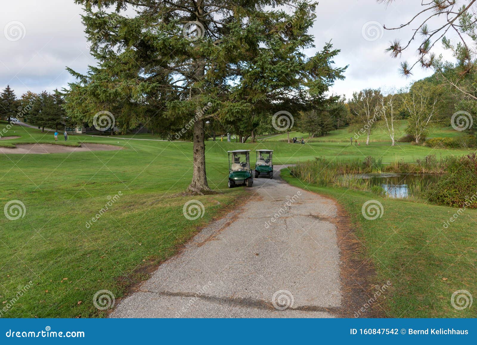 Two Golf Carts on the Golf Course Stock Photo - Image of outdoors, park ...