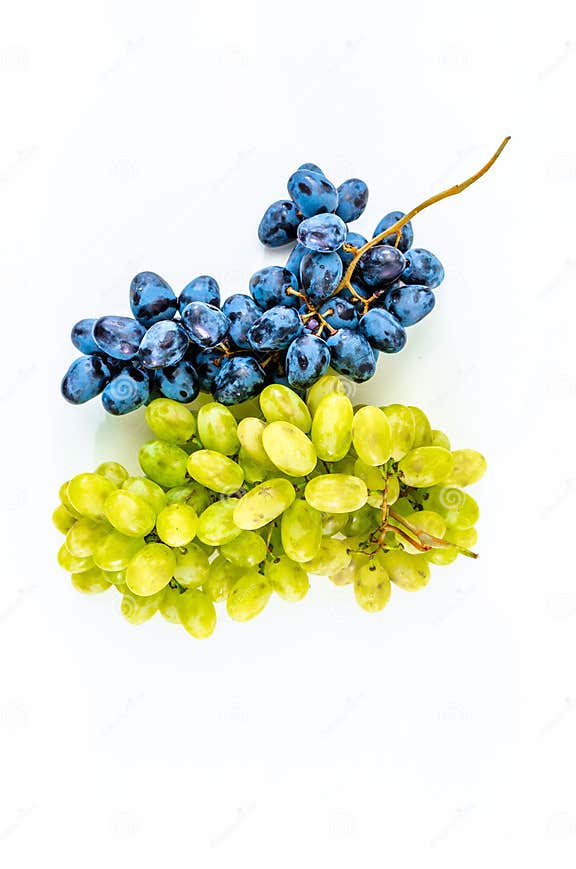 The two grape varieties stock photo. Image of ripe, vertical - 97854796