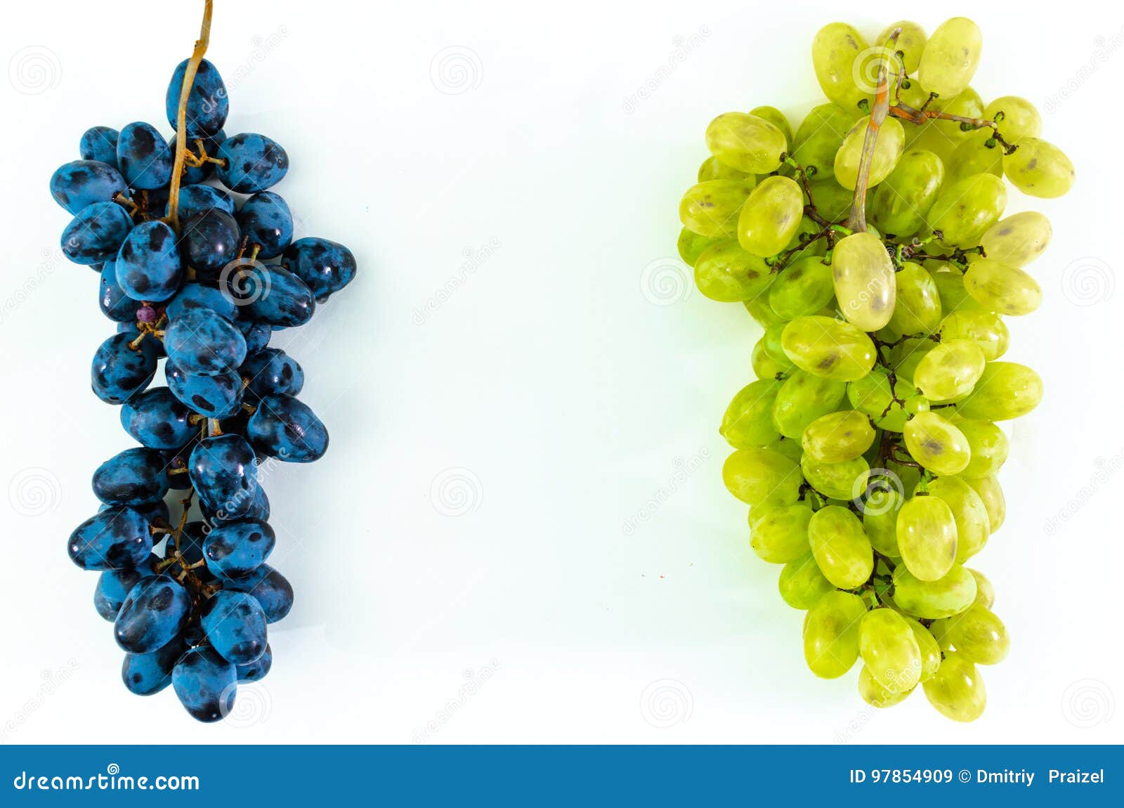 The two grape varieties stock image. Image of berry, ripe - 97854909