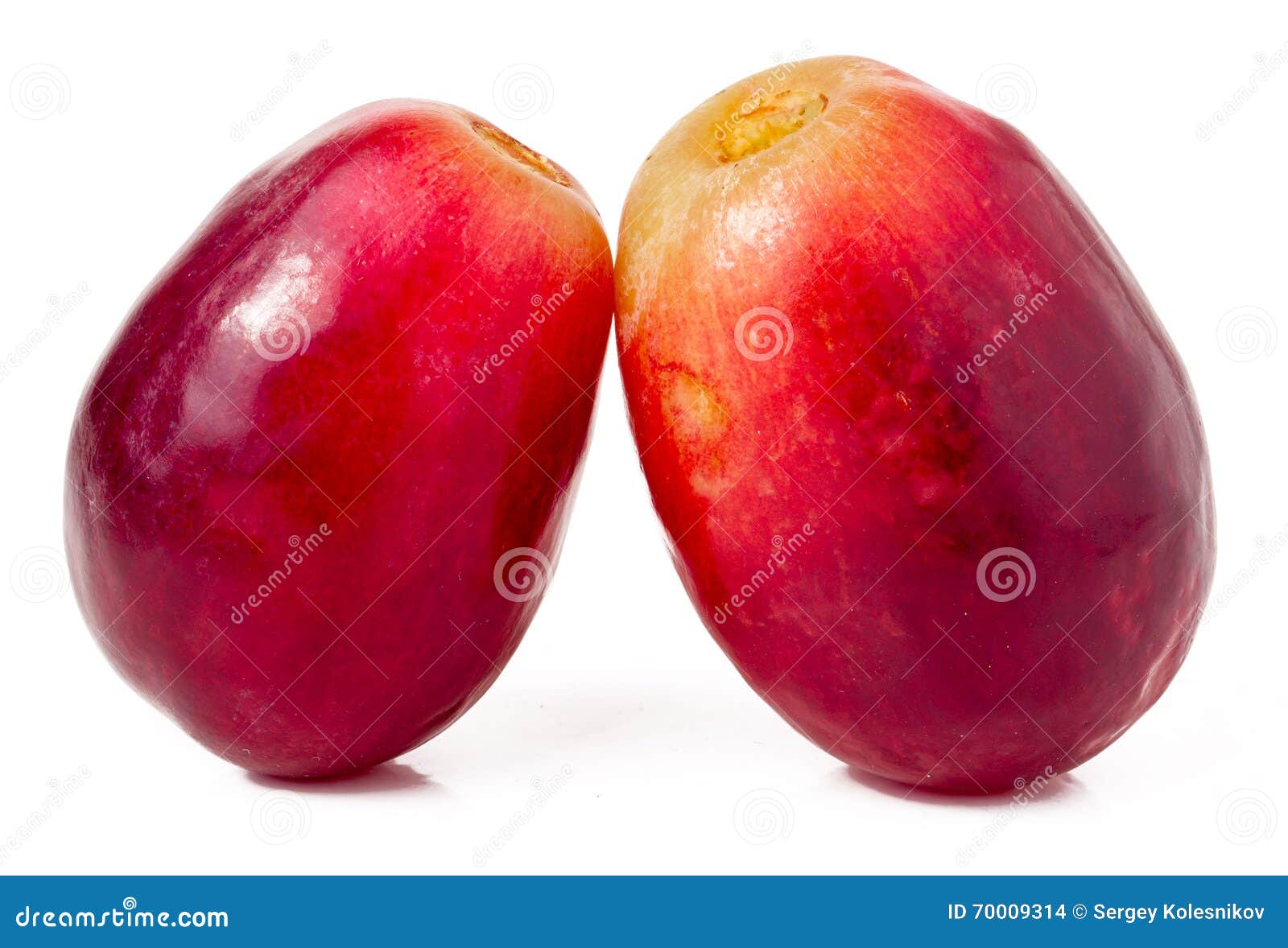 Two Grapes Close Up. Isolated on White Stock Photo - Image of food ...