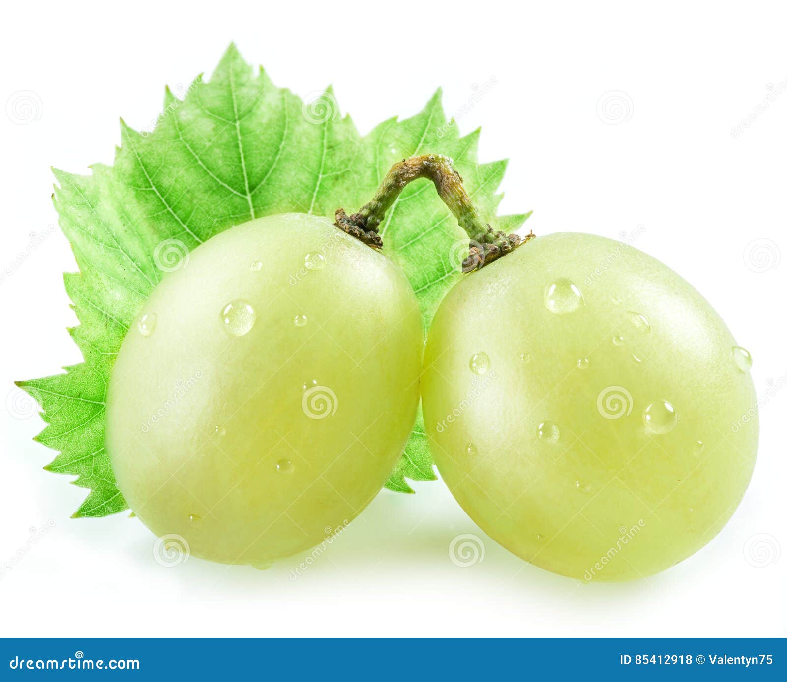 Small Leaf On An Apple Tree Stock Image | CartoonDealer.com #149525521