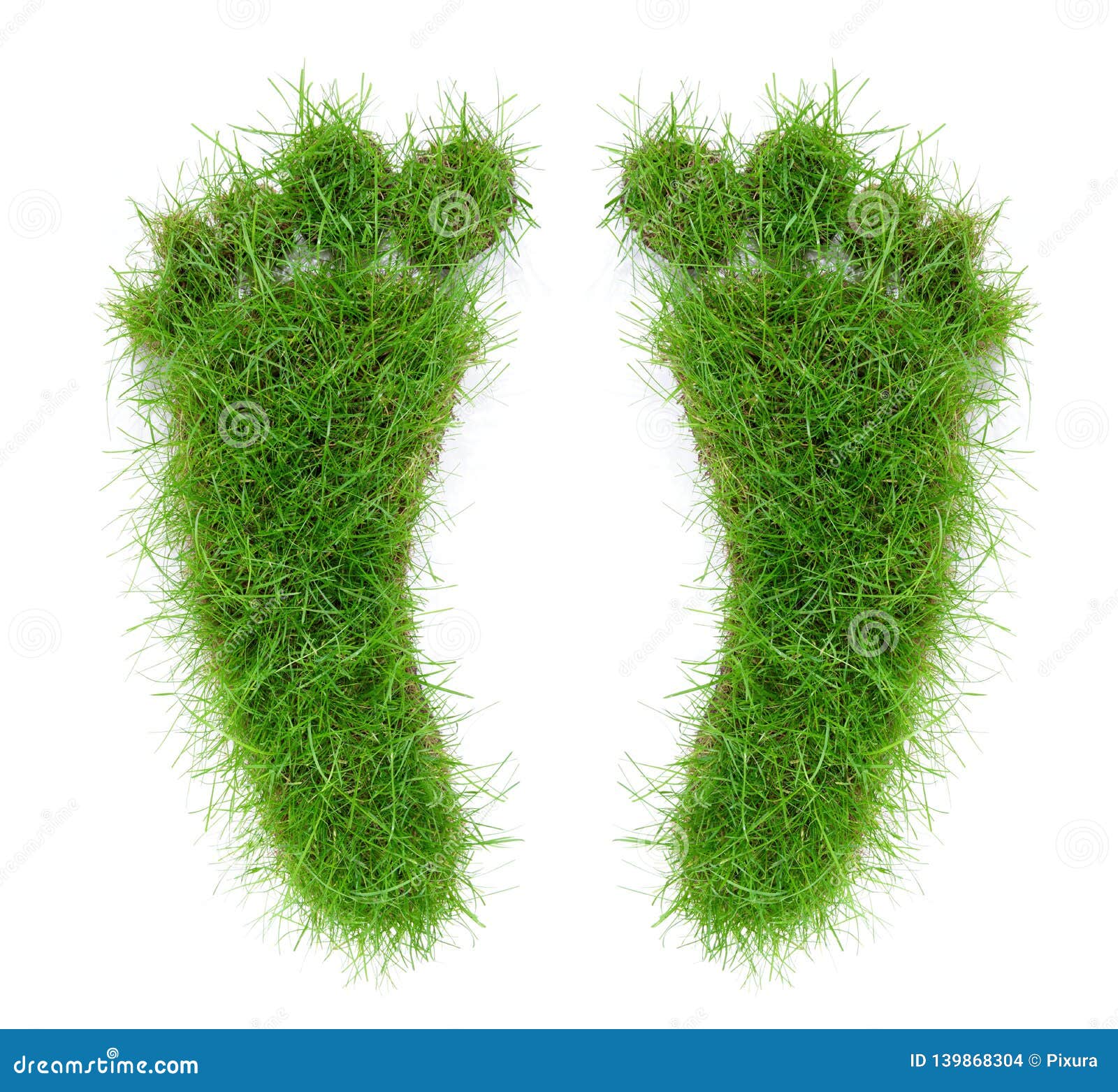 Grass Footprints Royalty-Free Stock Image | CartoonDealer.com #39770962