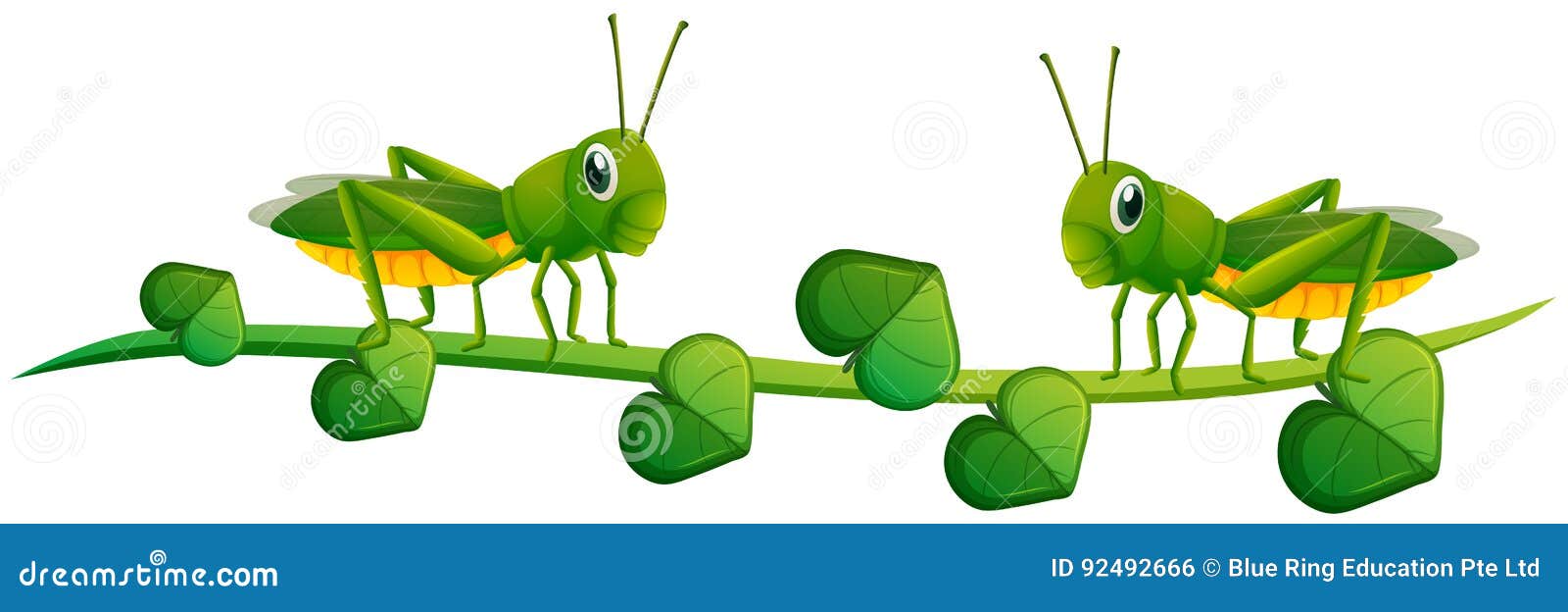 Two Grasshoppers on Green Vine Stock Vector - Illustration of wildlife ...