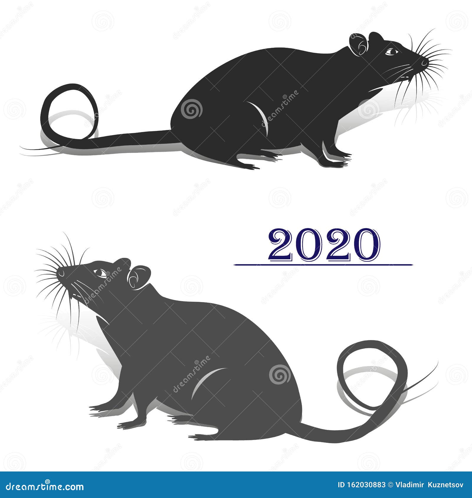 Two Gray Rats, Silhouette for the Design of the New Year 2020, on a ...