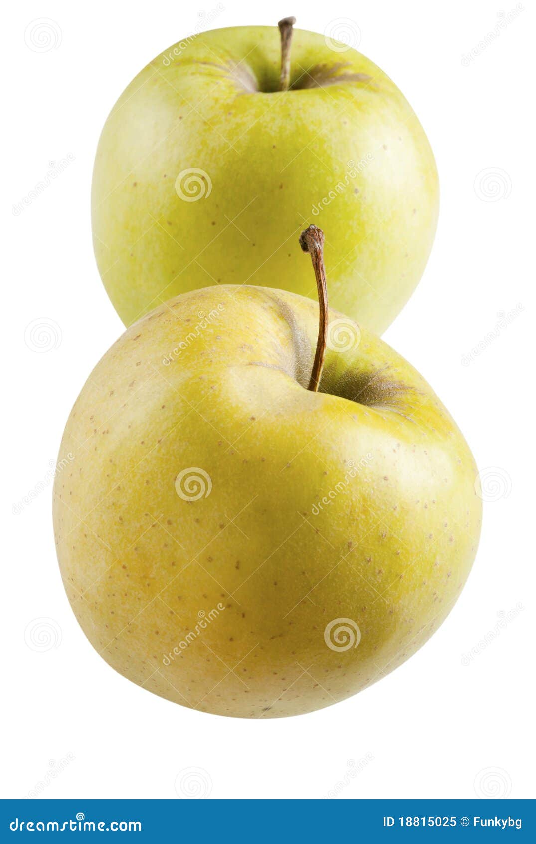 Two green apples stock image. Image of fresh, food, close - 18815025