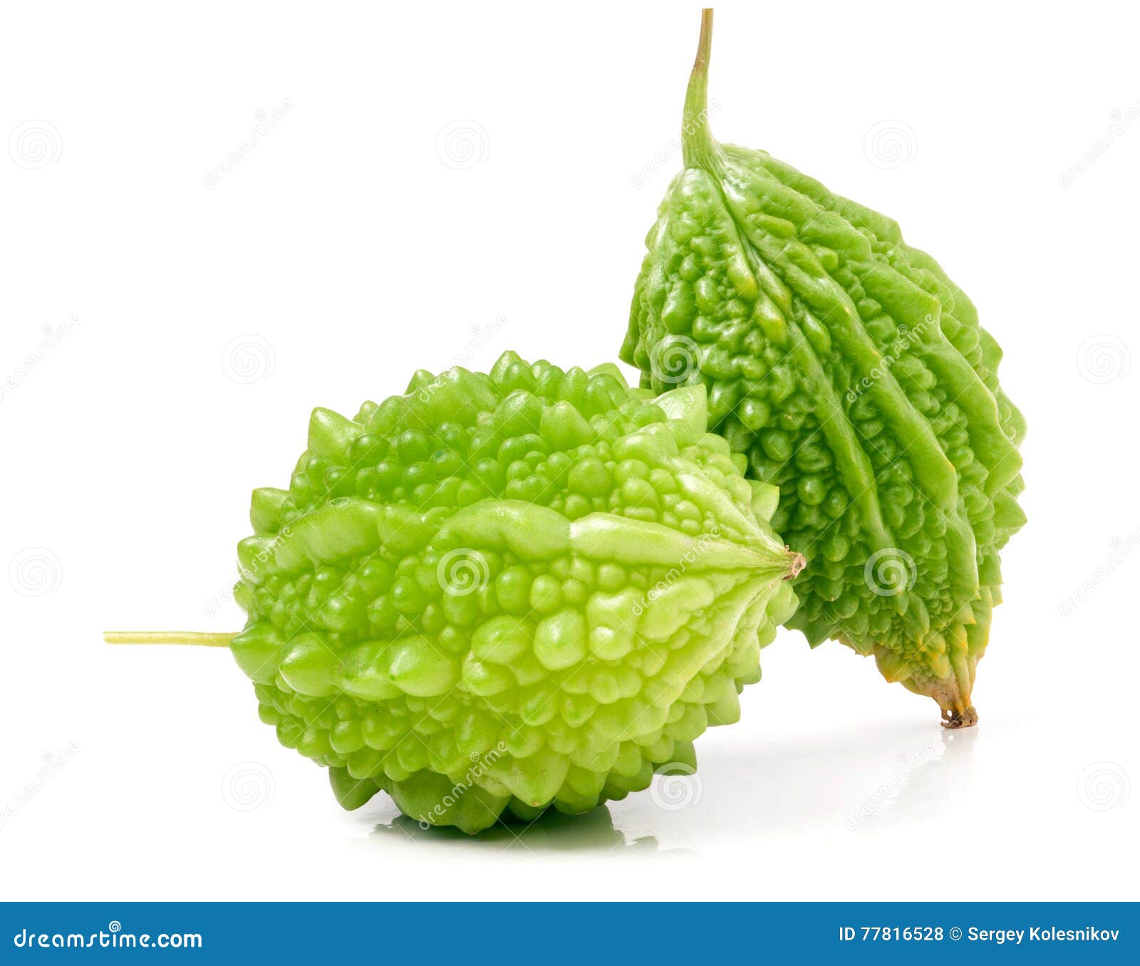 Two Green Bitter Melon or Momordica Isolated on White Background Stock ...