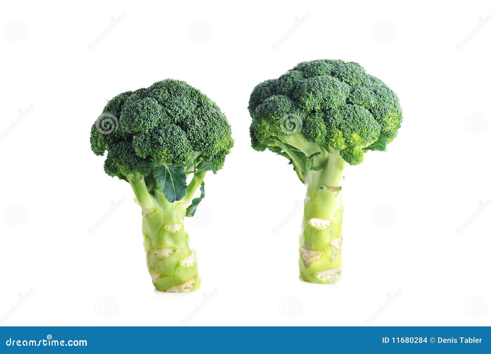 Two green broccolis stock photo. Image of ingredient - 11680284