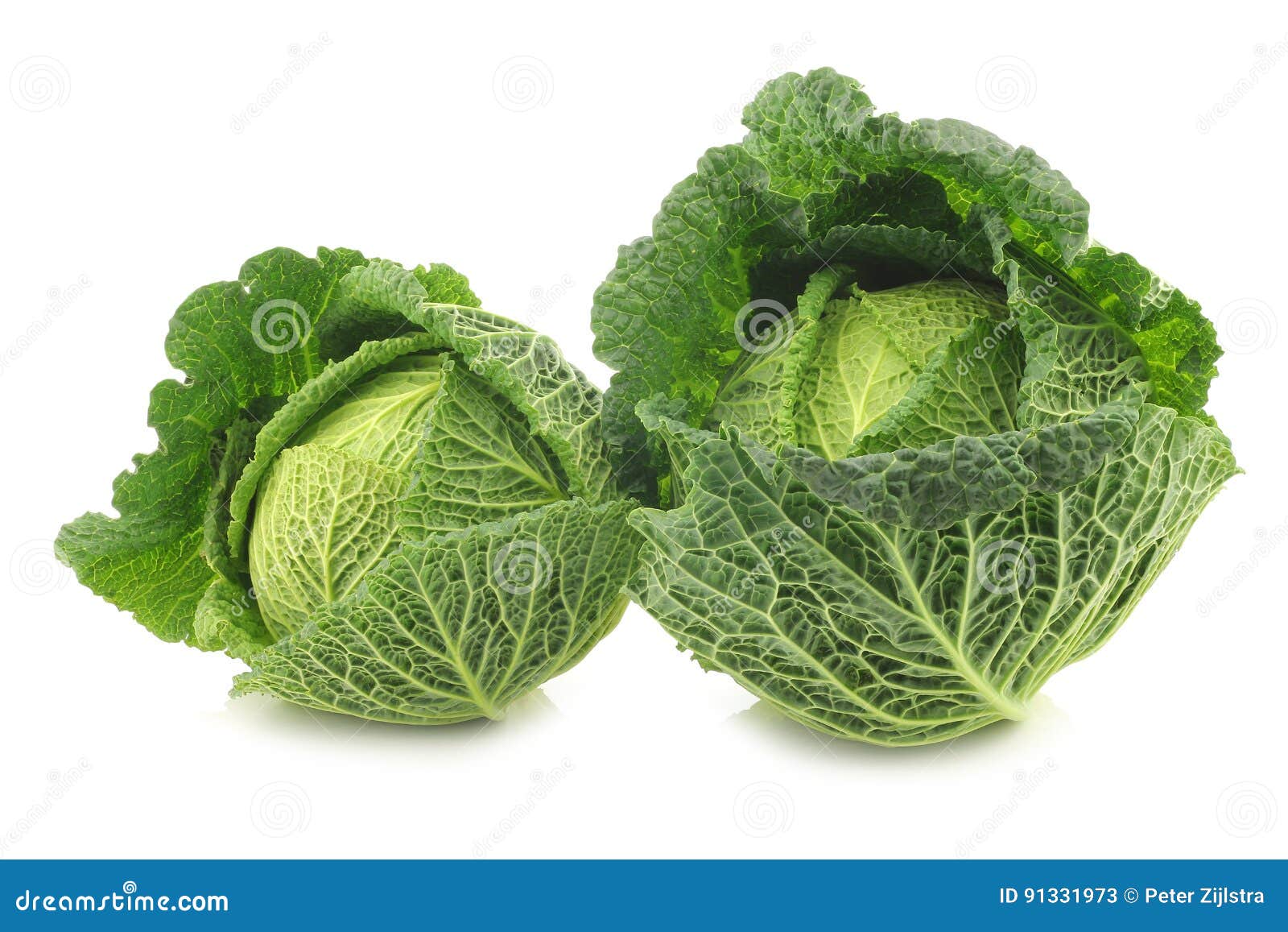 Two green cabbages stock image. Image of cabbage, organic - 91331973