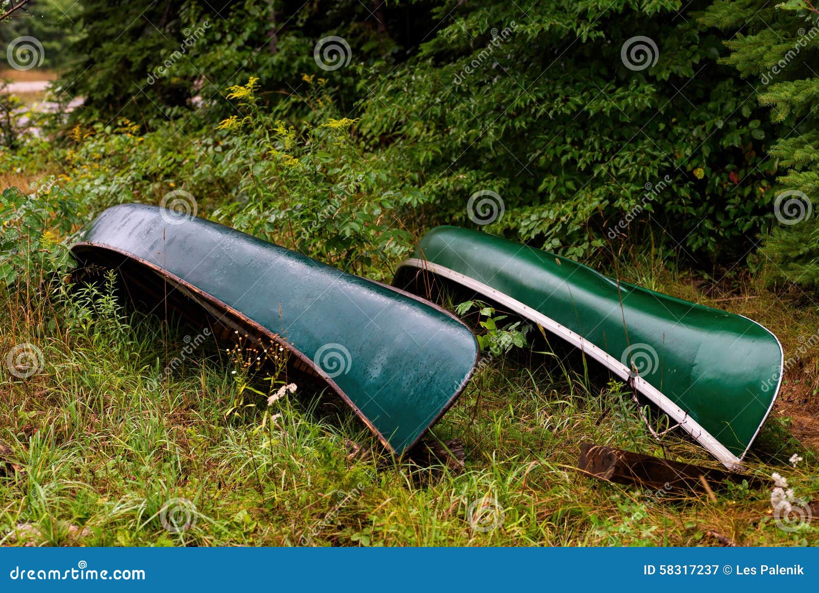 Two green canoes stock image. Image of boats, overturned - 58317237
