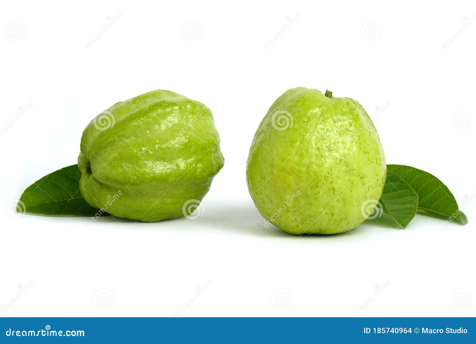 Two Green Crystal Guava Fruit with Leaves Isolated on White Background ...
