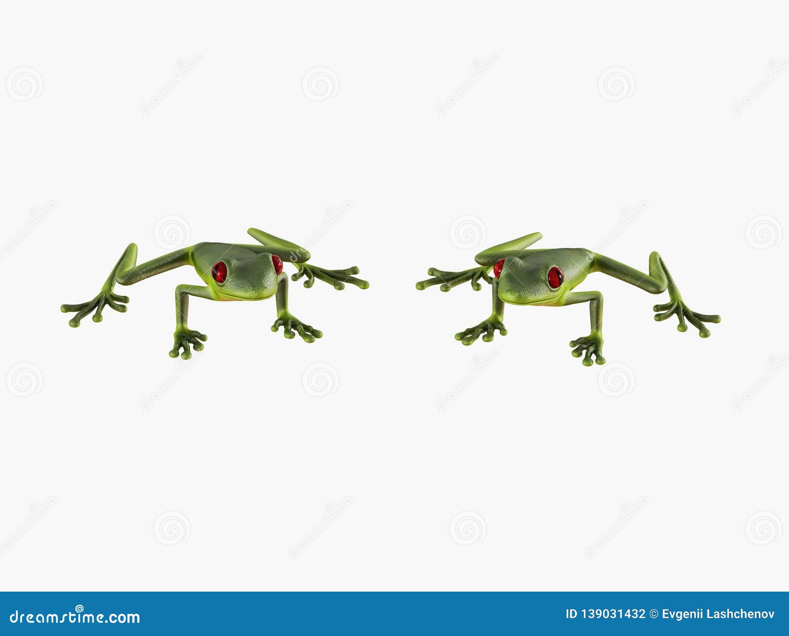 Two Green Frog Front View on White Background 3d Rendering Stock ...