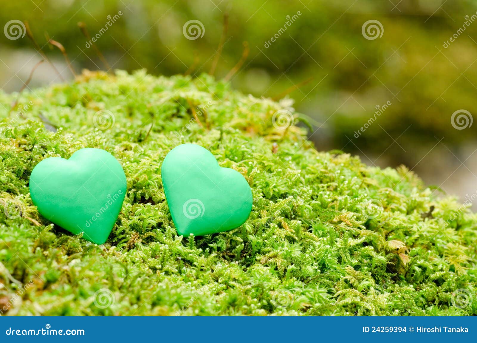 Two green heart objects stock photo. Image of nature - 24259394