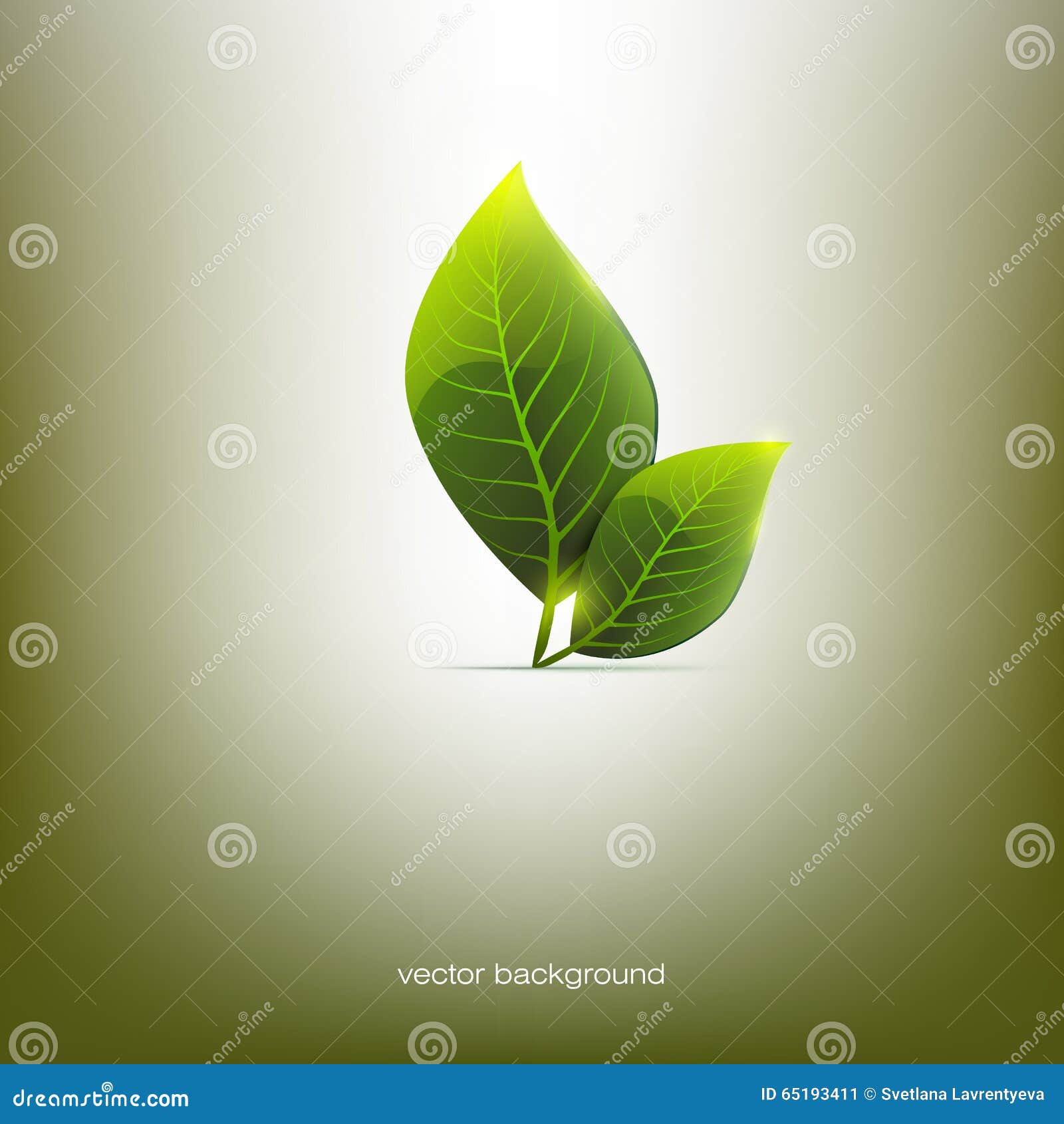 Two green leaves, vector stock vector. Illustration of graphic - 65193411