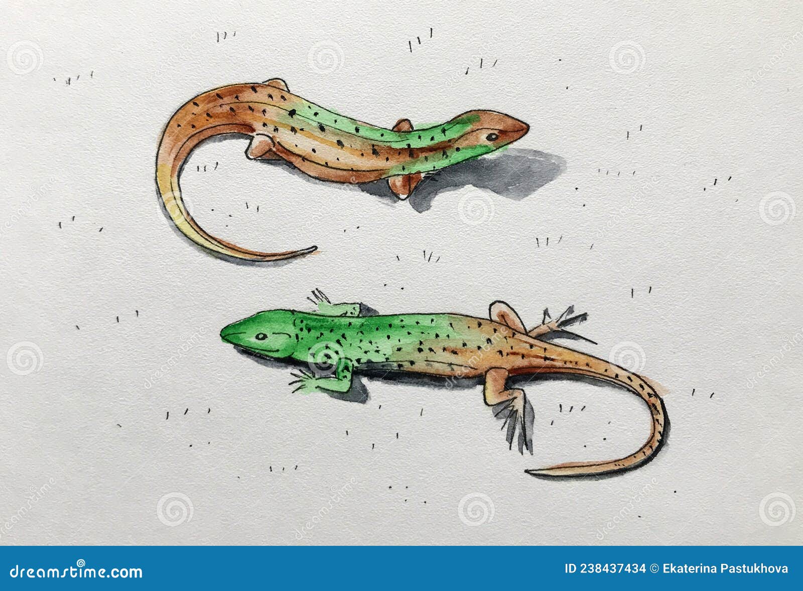 Two Green Lizards in Watercolor Stock Illustration - Illustration of ...
