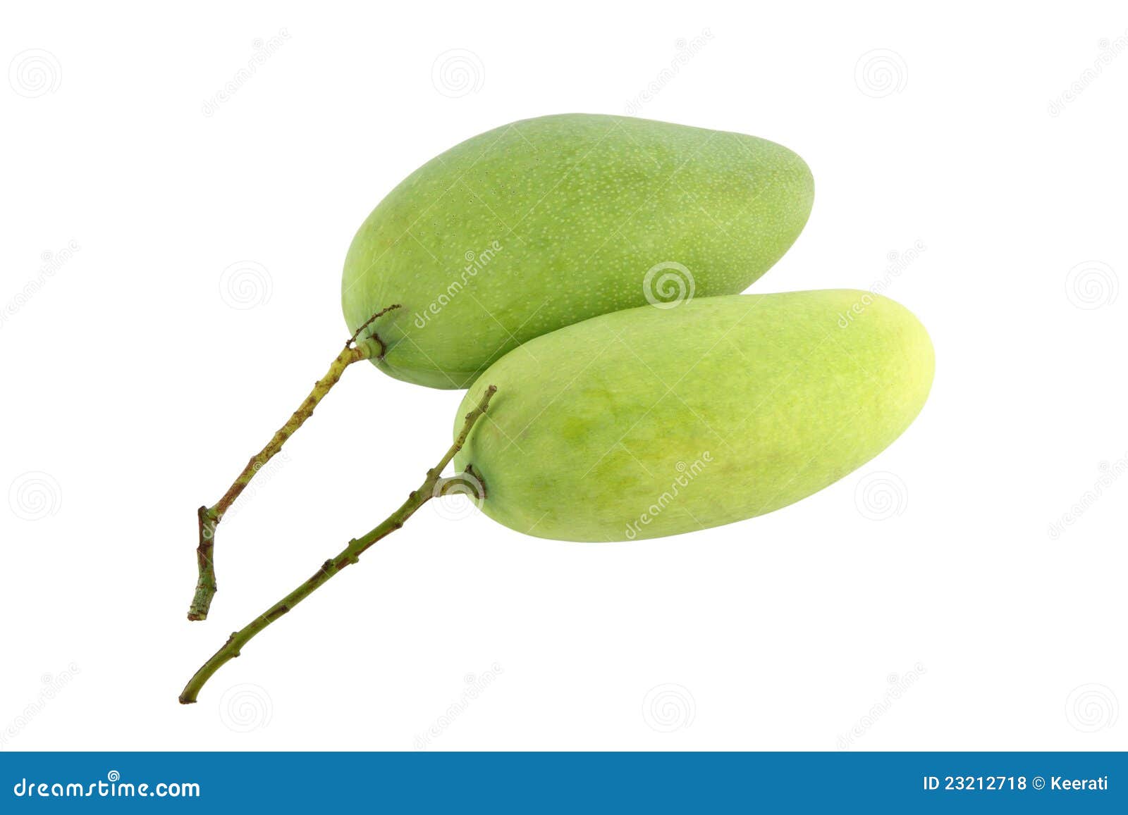 Two green mangos stock photo. Image of fresh, green, healthy - 23212718