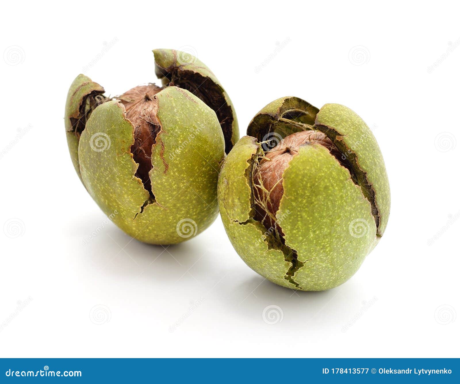 Two green nuts stock image. Image of broken, isolated - 178413577