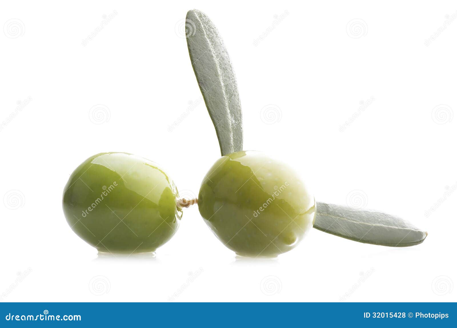 Two green olives on branch stock photo. Image of ingredient - 32015428