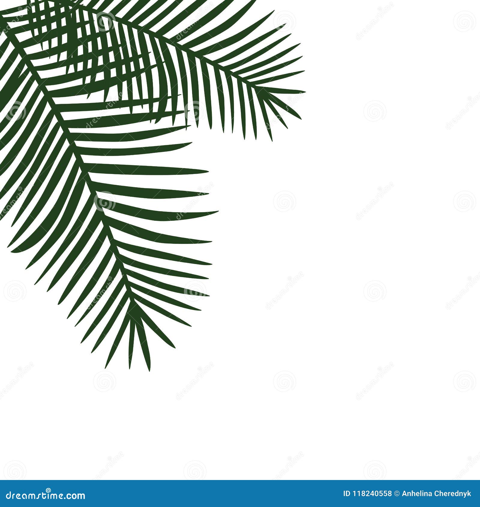 Two Green Palm Leaves on the Side Background Vector Stock Vector ...