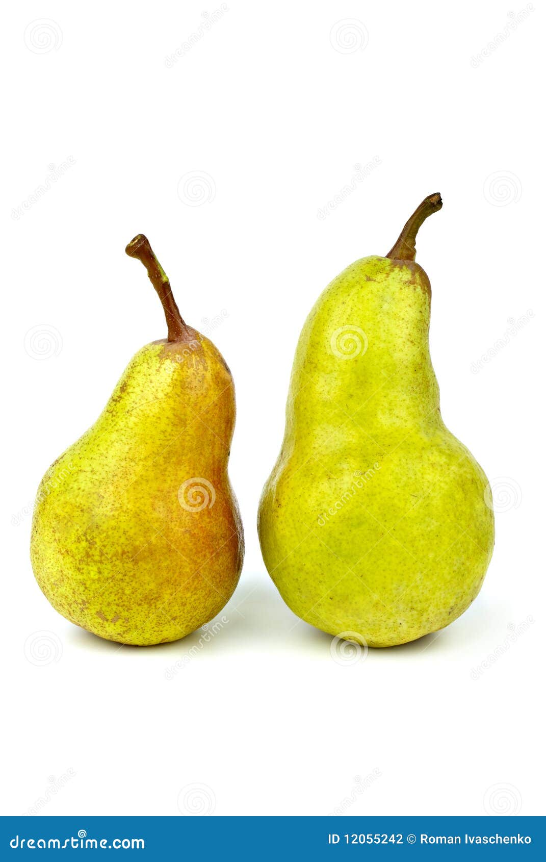 Two green pears stock photo. Image of healthy, vegetarian - 12055242
