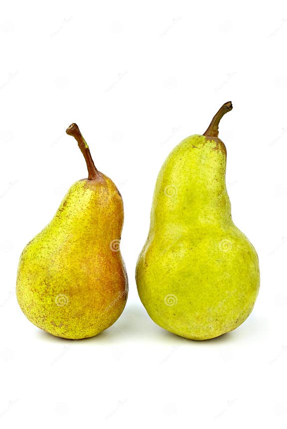 Two green pears stock photo. Image of healthy, vegetarian - 12055242