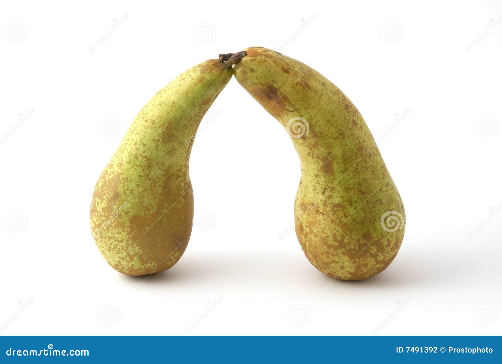 Two green pears stock photo. Image of form, food, shape - 7491392