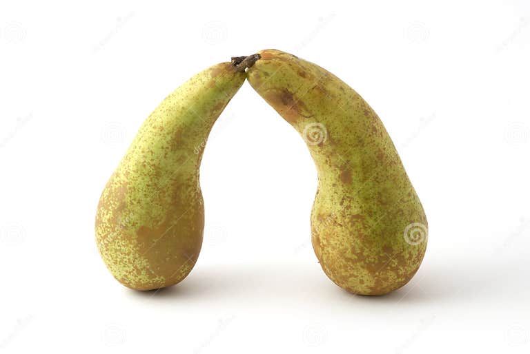 Two green pears stock photo. Image of form, food, shape - 7491392