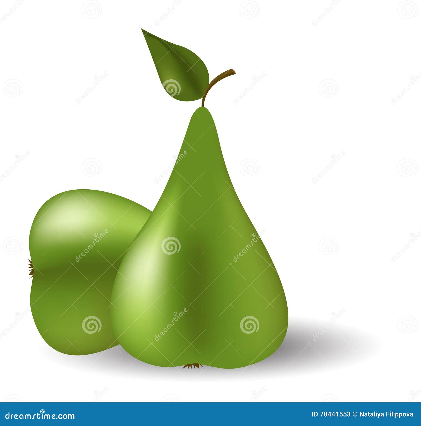 Two green pears stock vector. Illustration of vector - 70441553