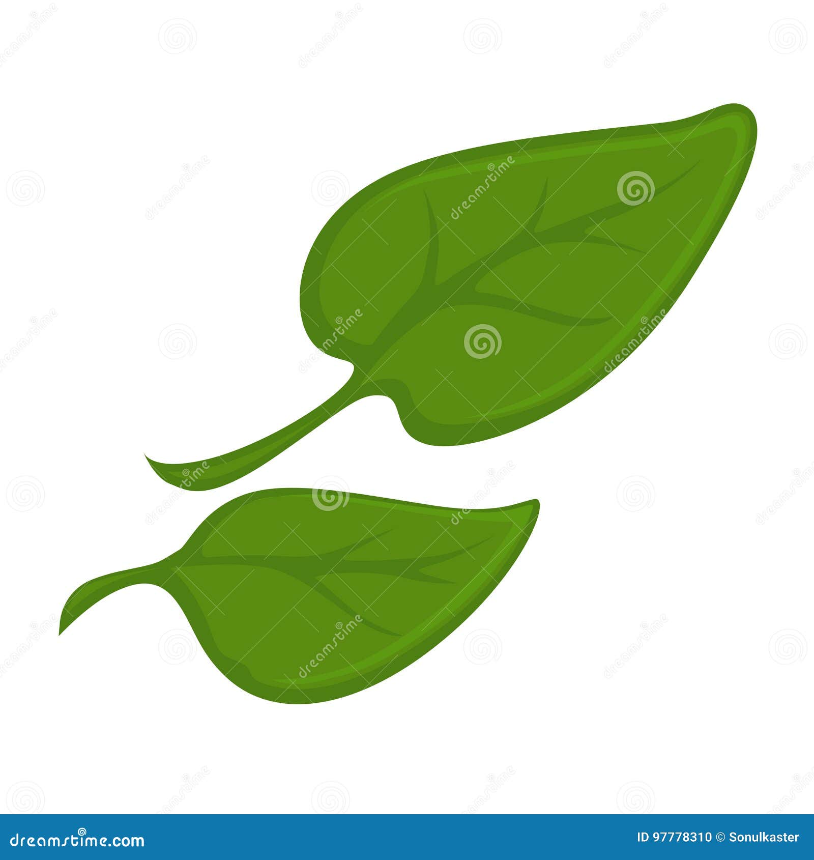 Two green small leaves stock vector. Illustration of botanic - 97778310